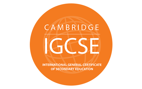 Top Computer Science Online Classes For IGCSE & A Level